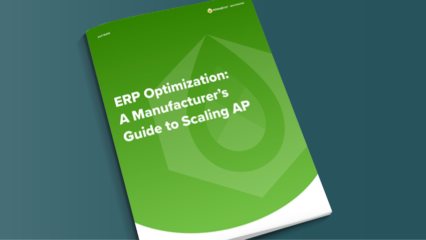 Whitepaper Manufacturers Guide To Erp Optimization Mineraltree